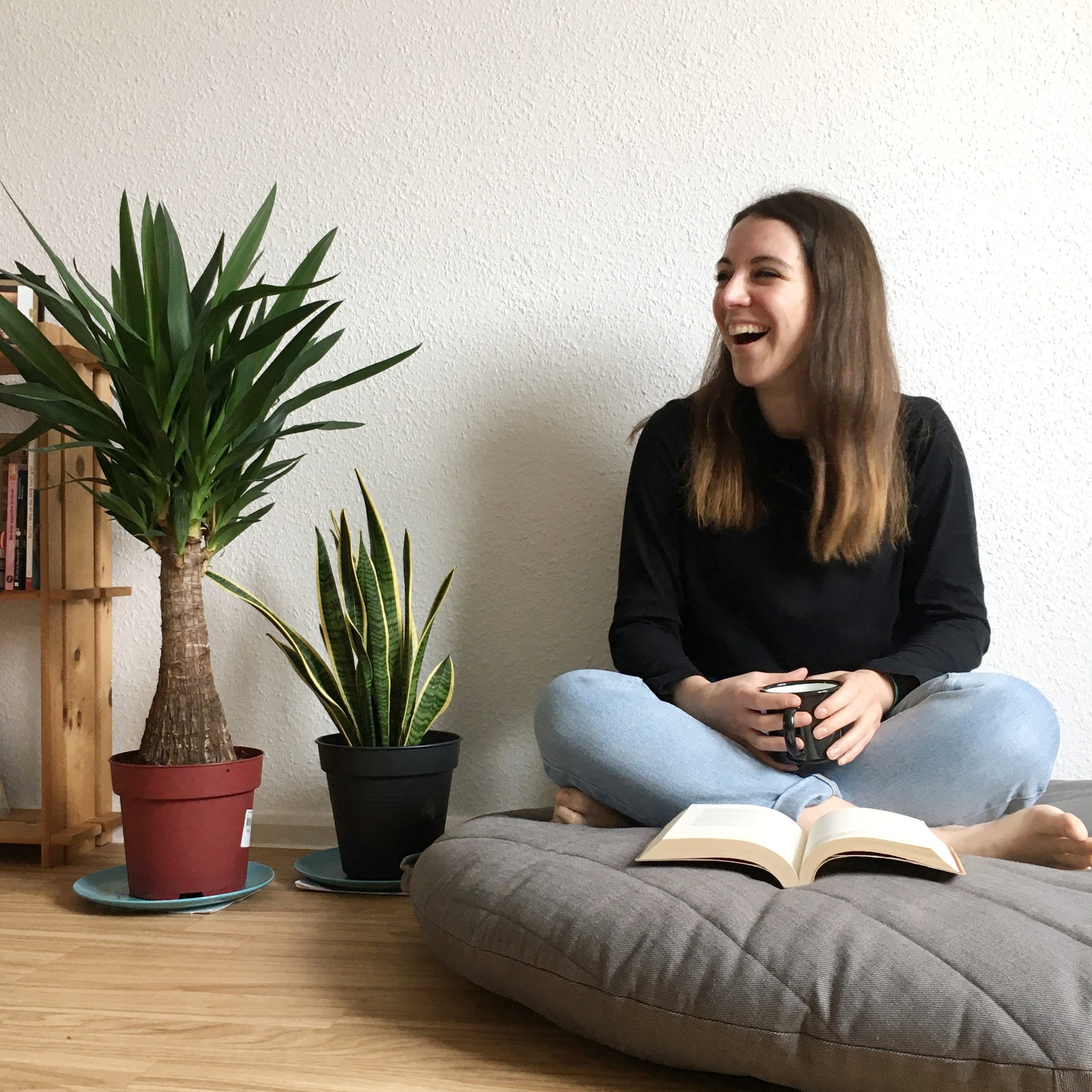 The Simplicity Diaries – The Simplicity Diaries